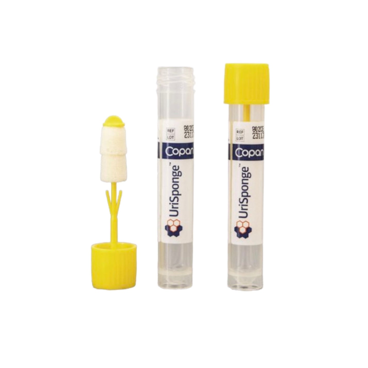 Copan UriSponge for Urine Collection Box of 50pcs – SkyFall Health