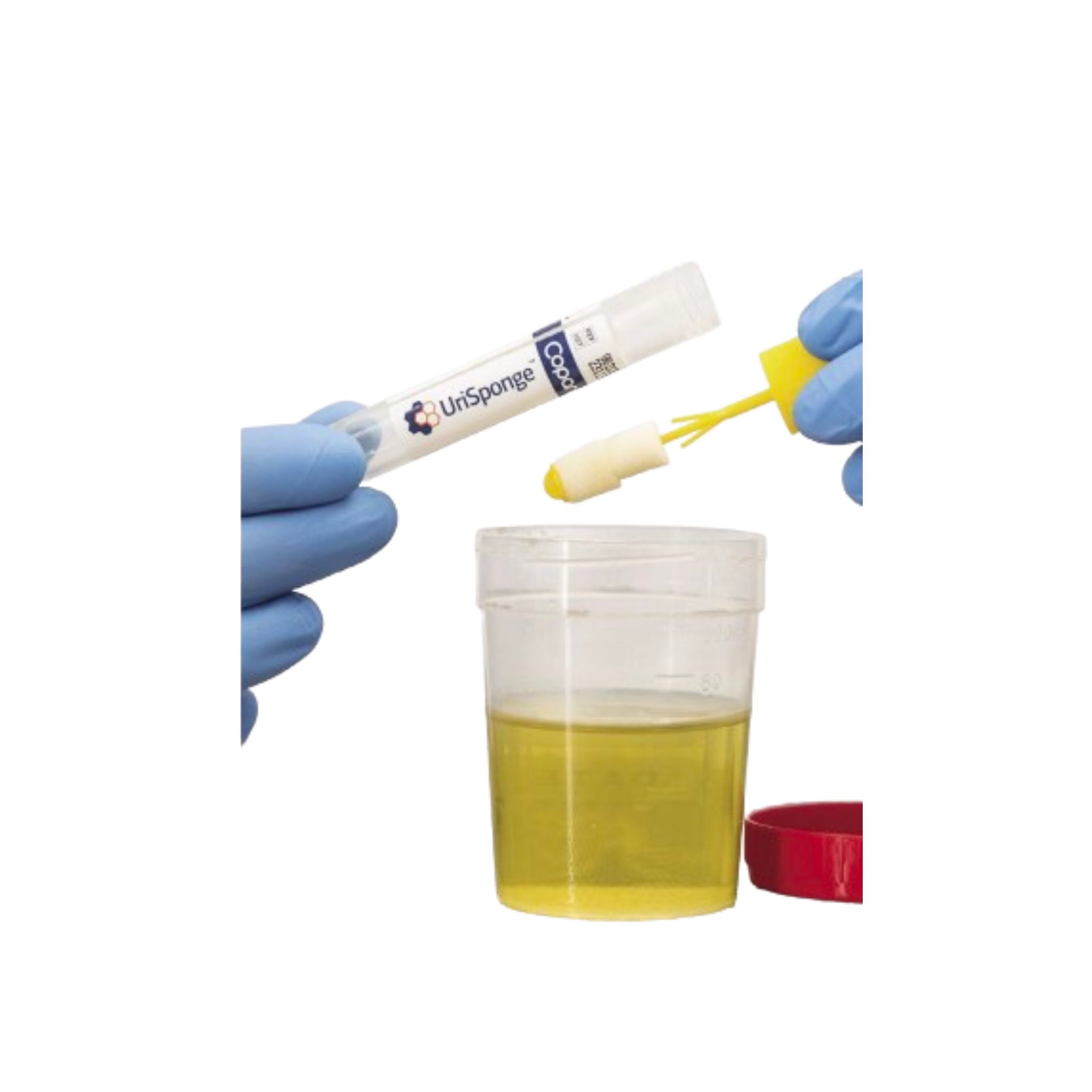 Copan UriSponge for Urine Collection Box of 50pcs – SkyFall Health